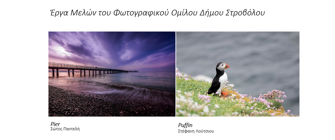 Έργα Μελών Φωτογραφικού Ομίλου Δήμου Στροβόλου – Strovolos Municipality